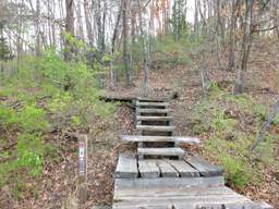 Chattanooga Trail Guide