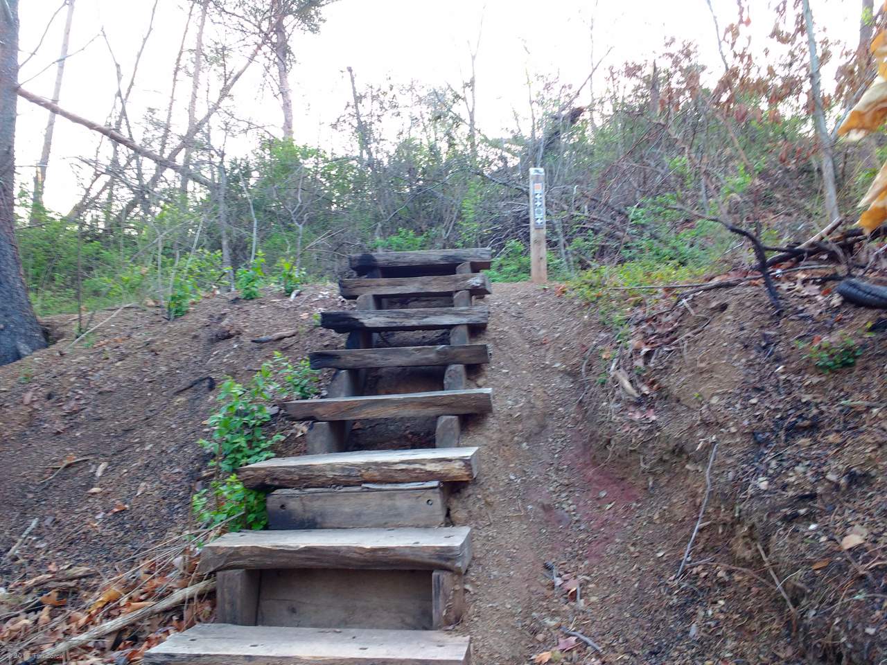 Stringer's Ridge Park - Chattanooga Trail Guide