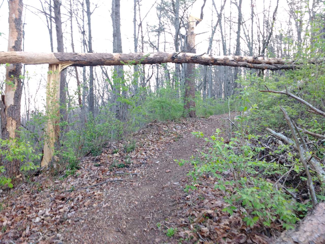 Stringer's Ridge Park - Chattanooga Trail Guide