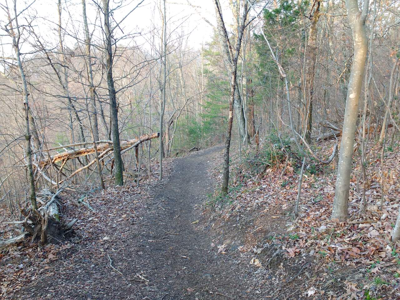 Stringer's Ridge Park - Chattanooga Trail Guide