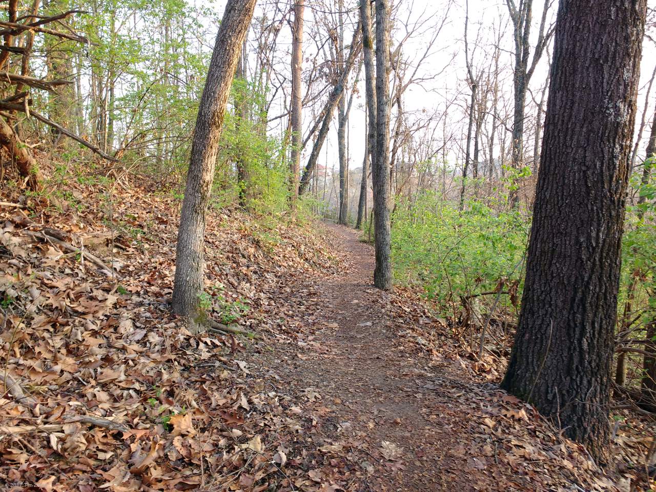 Stringer's Ridge Park - Chattanooga Trail Guide