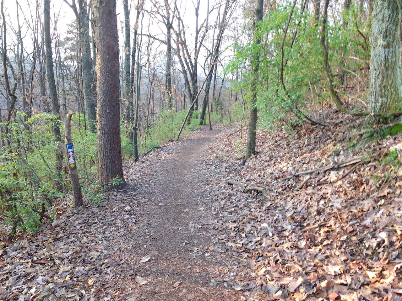 Stringer's Ridge Park - Chattanooga Trail Guide
