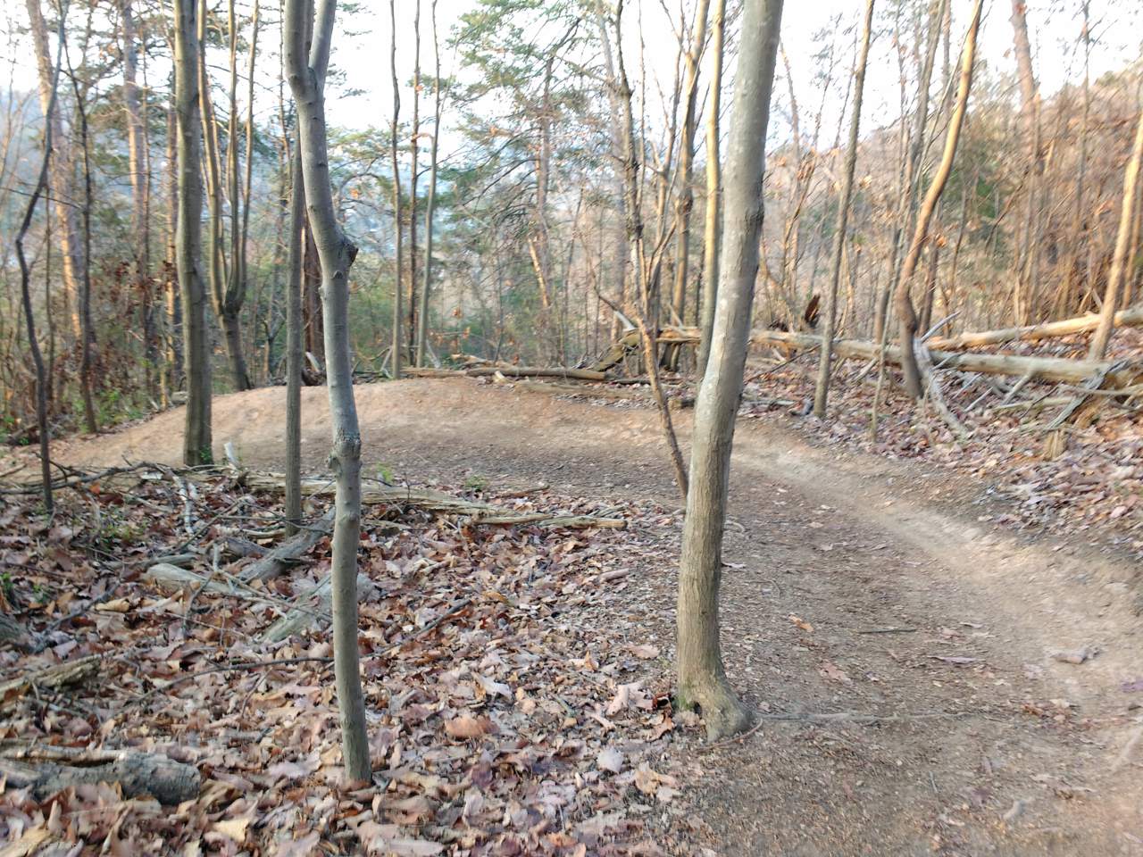 Stringer's Ridge Park - Chattanooga Trail Guide