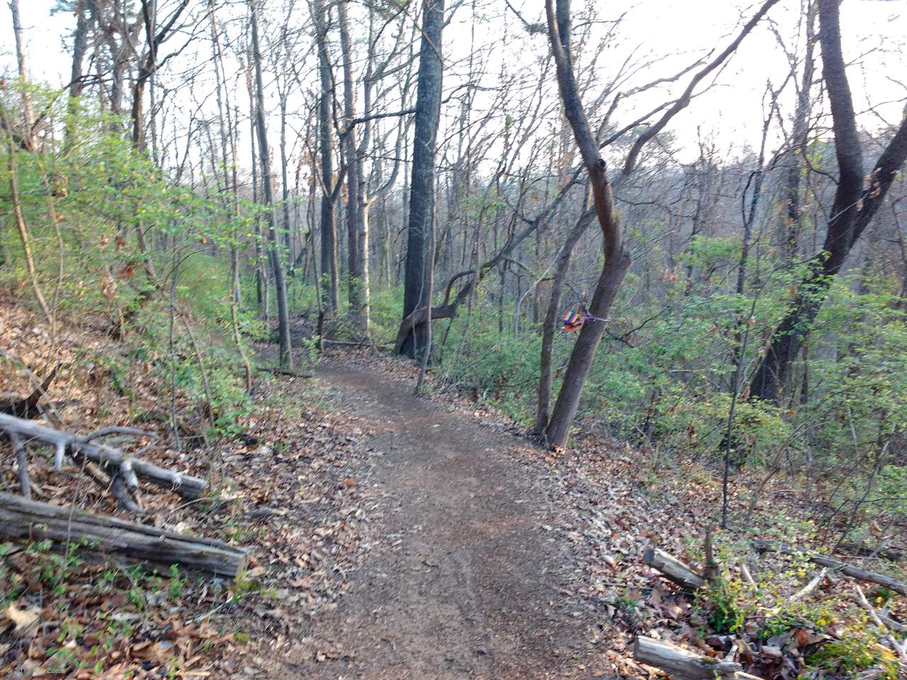Stringer's Ridge Park - Chattanooga Trail Guide